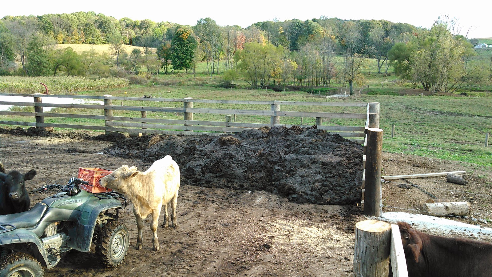 Conser Run Report: Corral is almost complete.